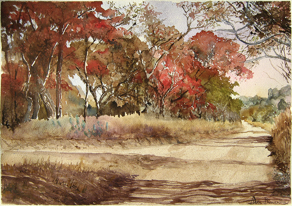 Monday morning school run | Heather van Buuren